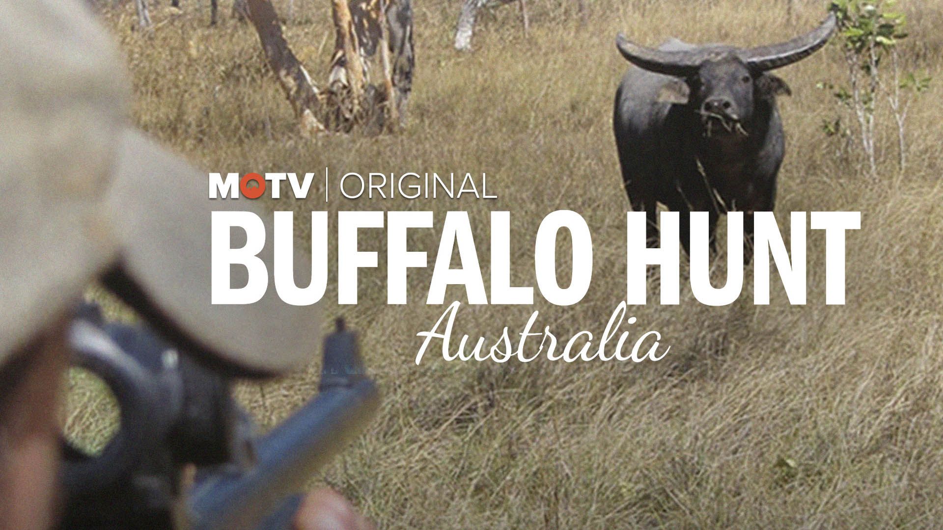 Buffalo Hunt Australia