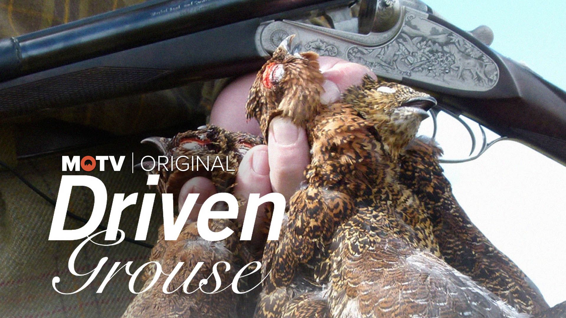 Driven Grouse