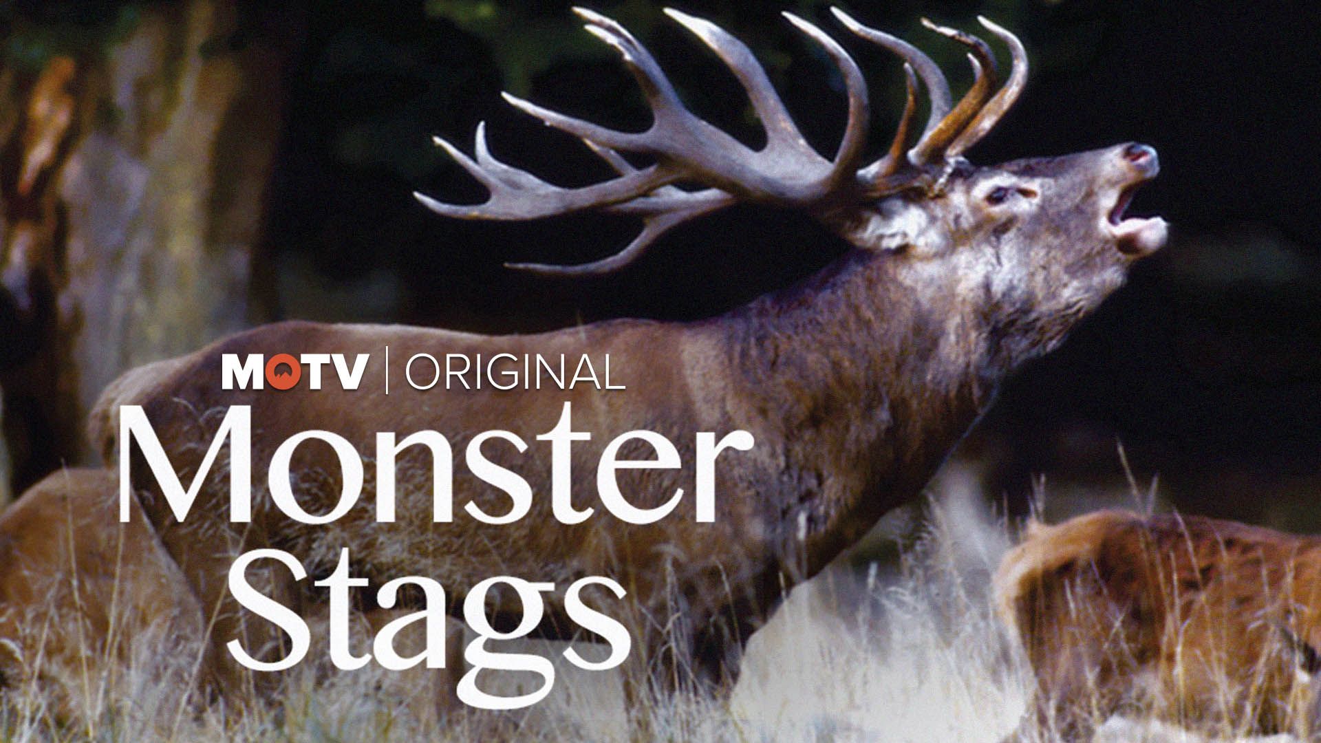 Monster Stags