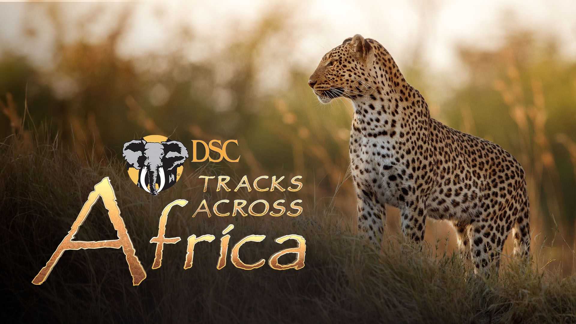 Tracks Across Africa
