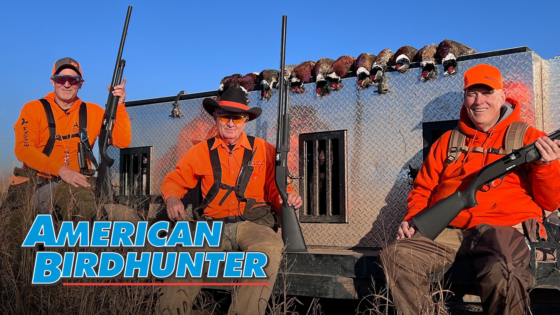 American Birdhunter