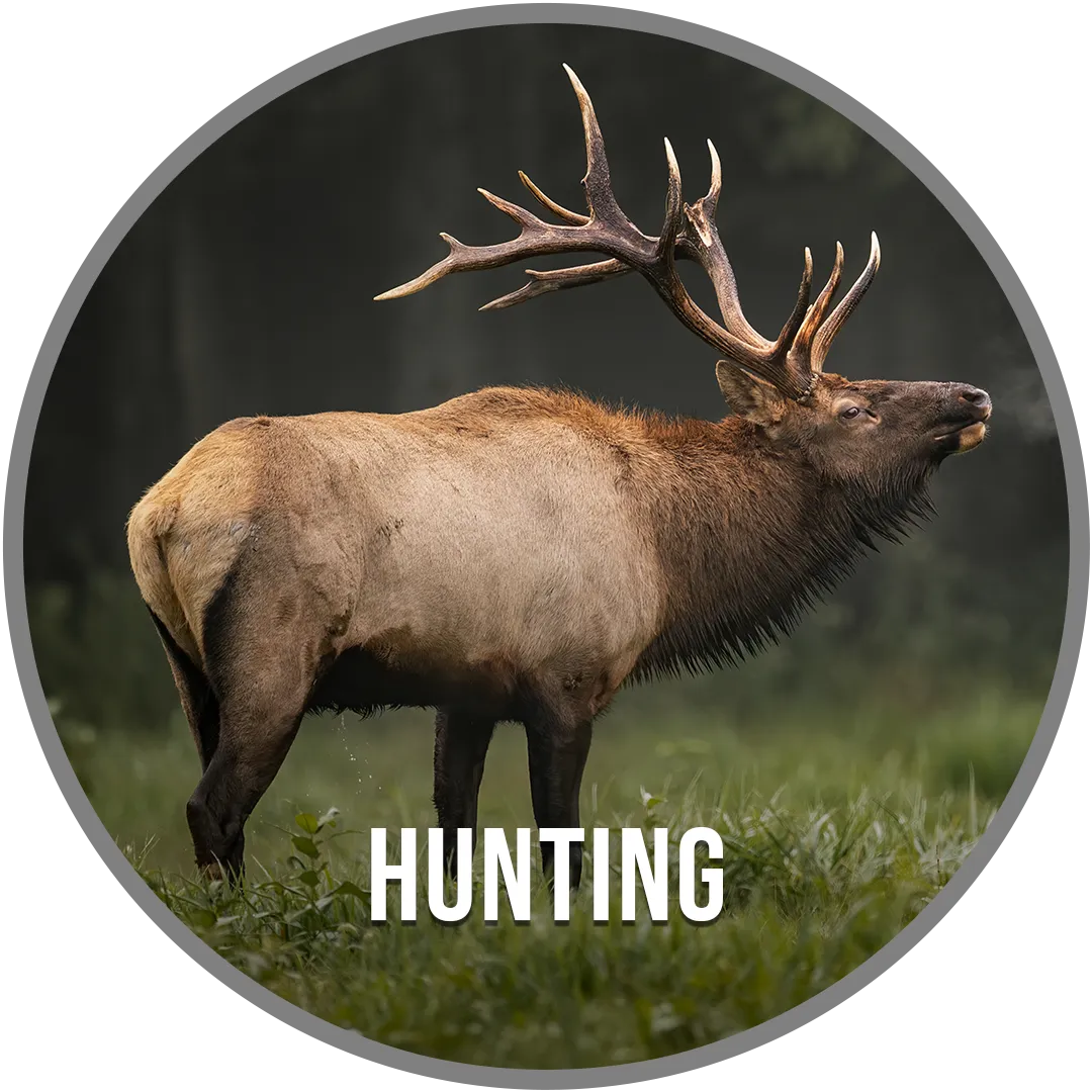 Hunting