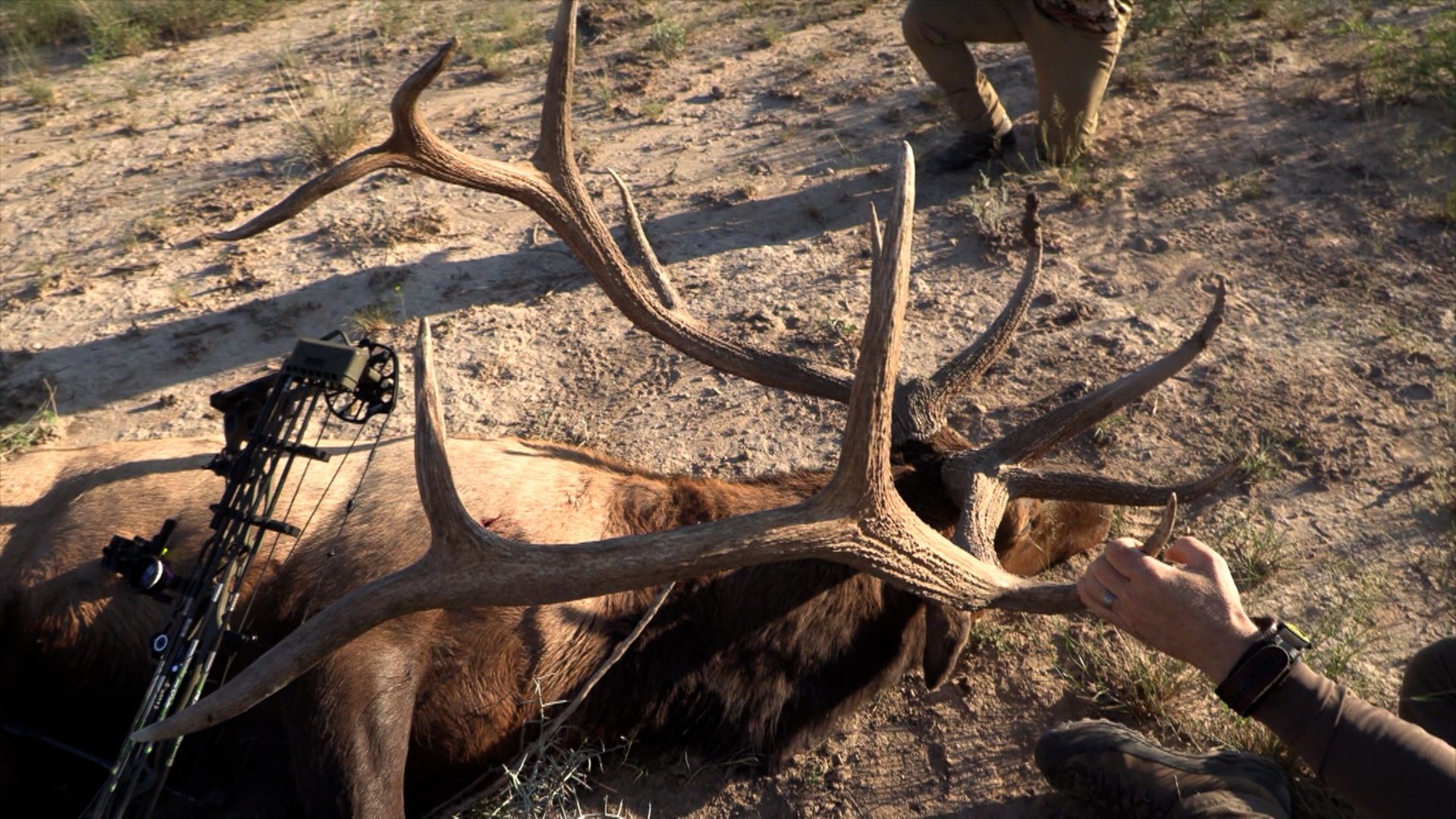 Live 2 Hunt with Cody & Kelsy
