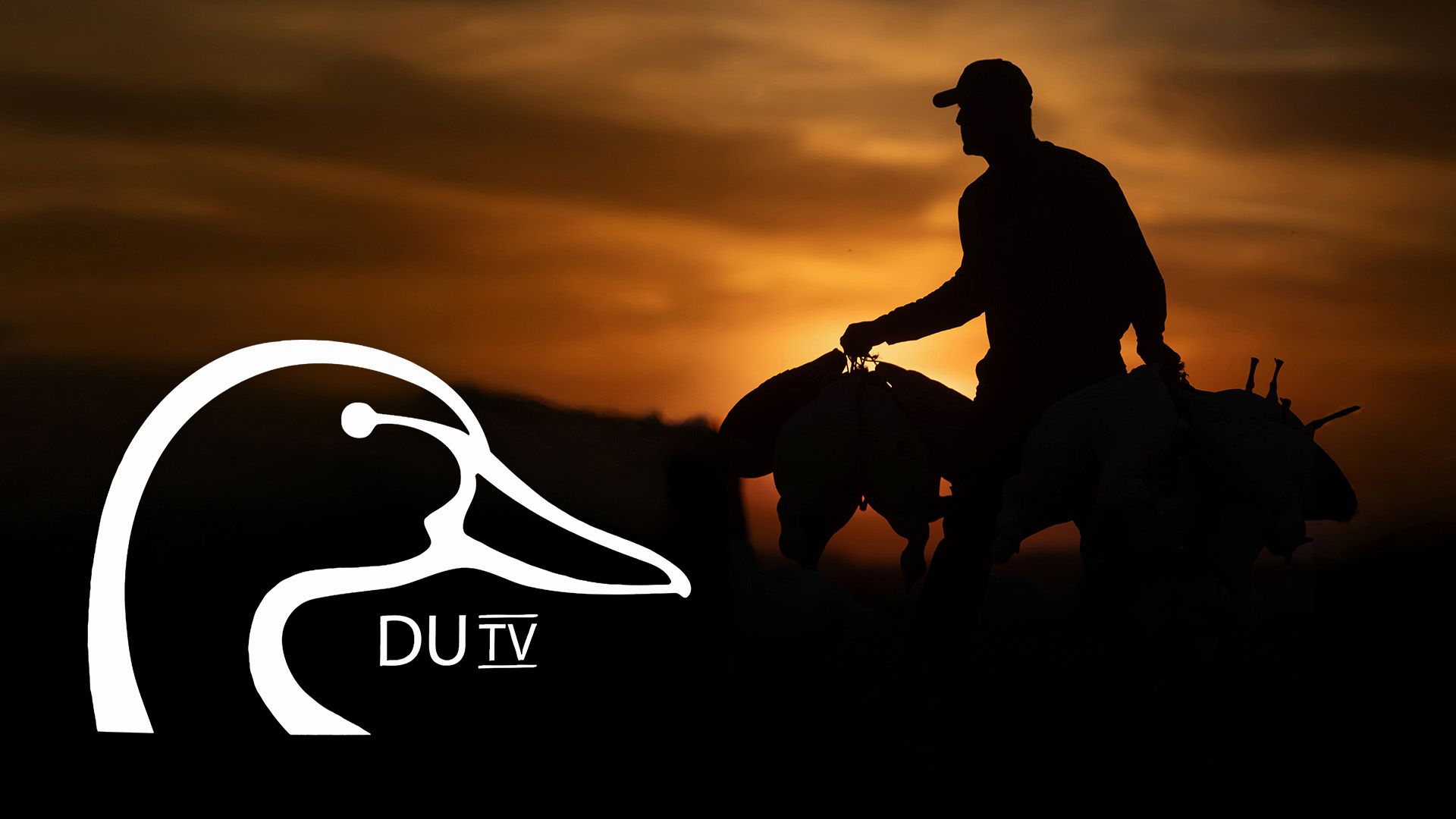 Photos Du Logo De Ducks Unlimited